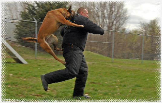 K9Track Software Modules - K9 Track Software